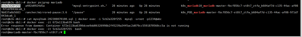 K3s进入pod报error executing command in container: http: invalid Host header - K3d - Rancher 中文论坛