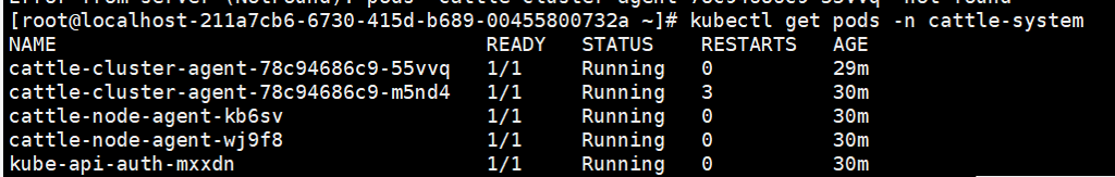 集群注册节点cattle-cluster-agent访问Rancher失败 - Rancher 2.x - Rancher 中文论坛